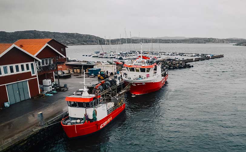 Kestävästi tuotetut sinisimpukat | Viking Line